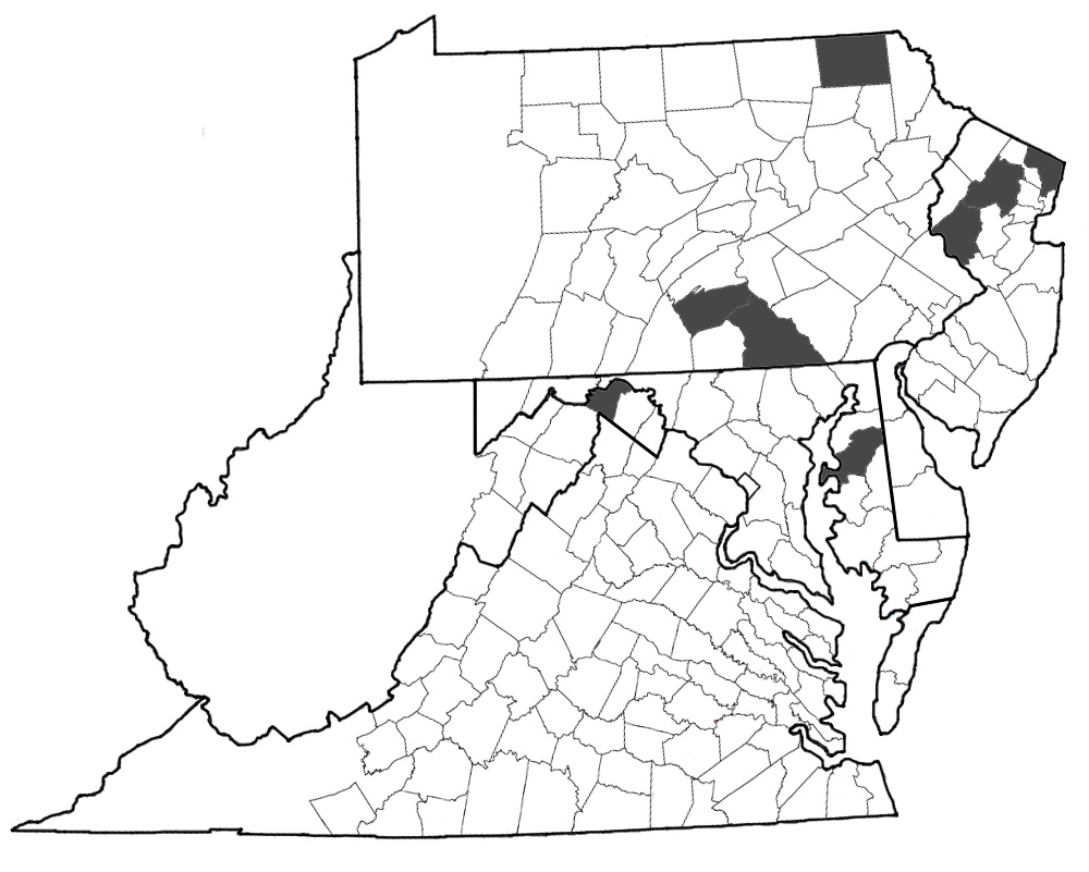 40th Parallel North America Map - Map
